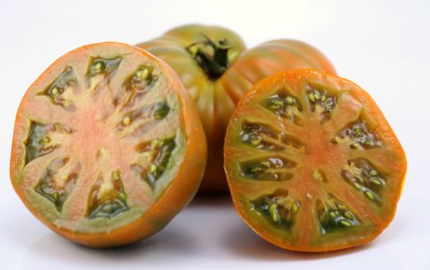 Thorburn’s Terra Cotta Tomato | Sheehan Gardens